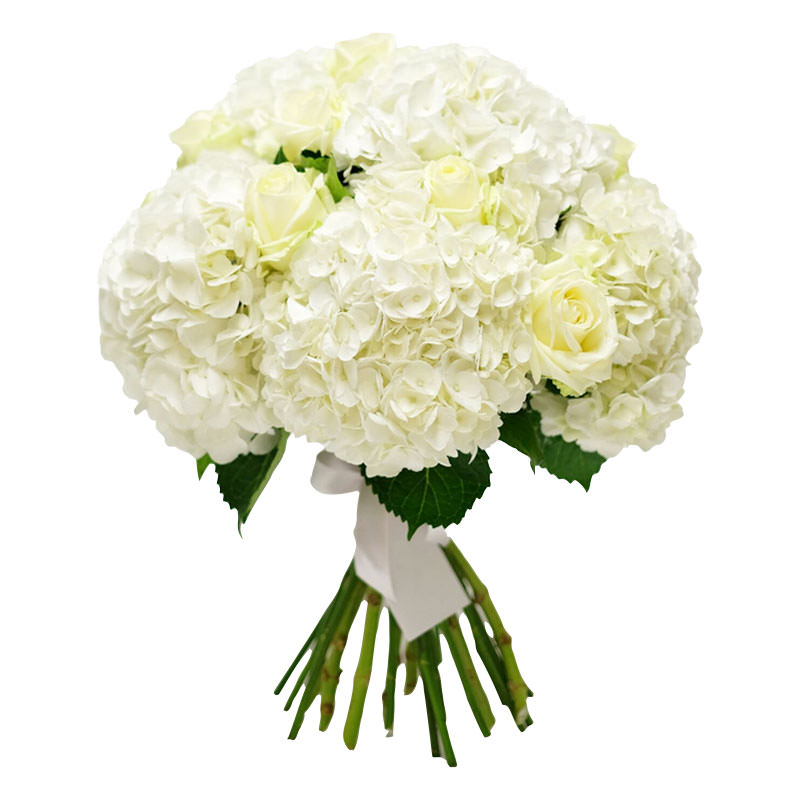 Гортензия белая поштучно в Иваново от «Love Flowers»